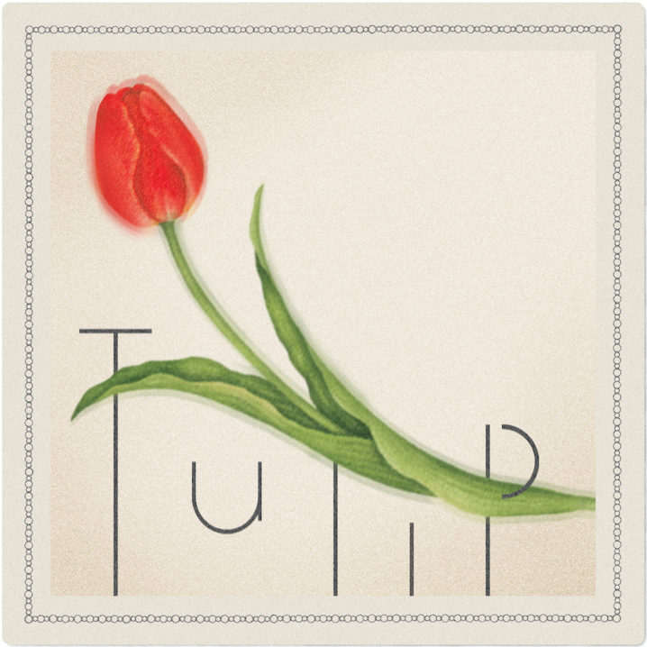 小学生とは思えないルックスで話題となった美少女モデル・山口らいら、資生堂WEB「花椿」に登場！ | ACTRESS PRESS